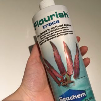 New products – Water Critters